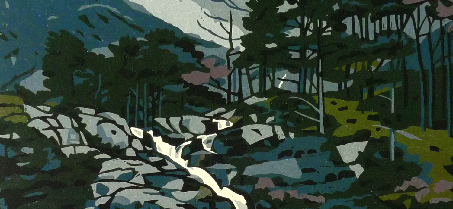 Ann Lewis Printmaker - Welcome